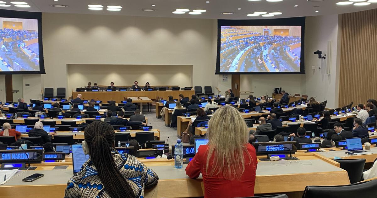 Conducting Observation Sessions at the United Nations Commission on ...